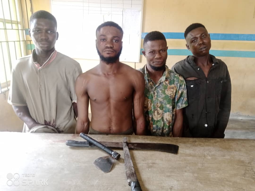 In Ogun Anti Cultists War Rages On